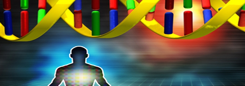 Fight Lynch Syndrome